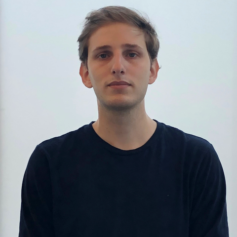 Nik Roeske | Institute for Matter and Systems